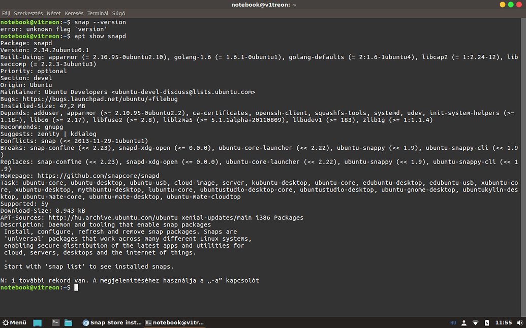 Snap Store installation problem - snapd - snapcraft.io